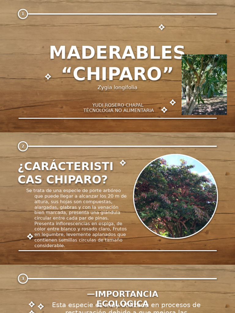 Maderables Yudi | PDF