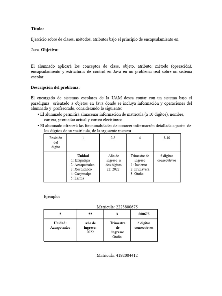 Ejercicio Objetos en Java | PDF