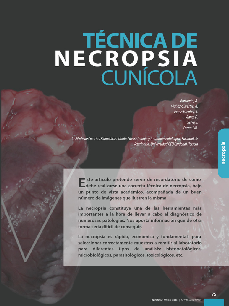 Necropsia | PDF