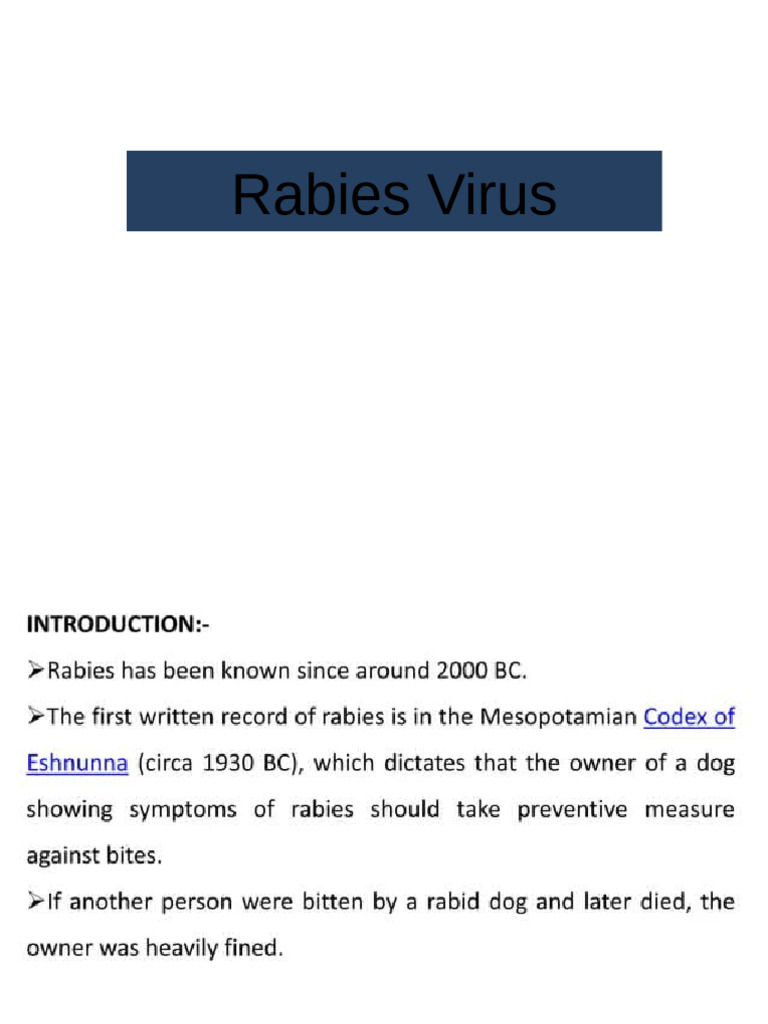 Rabies New | PDF