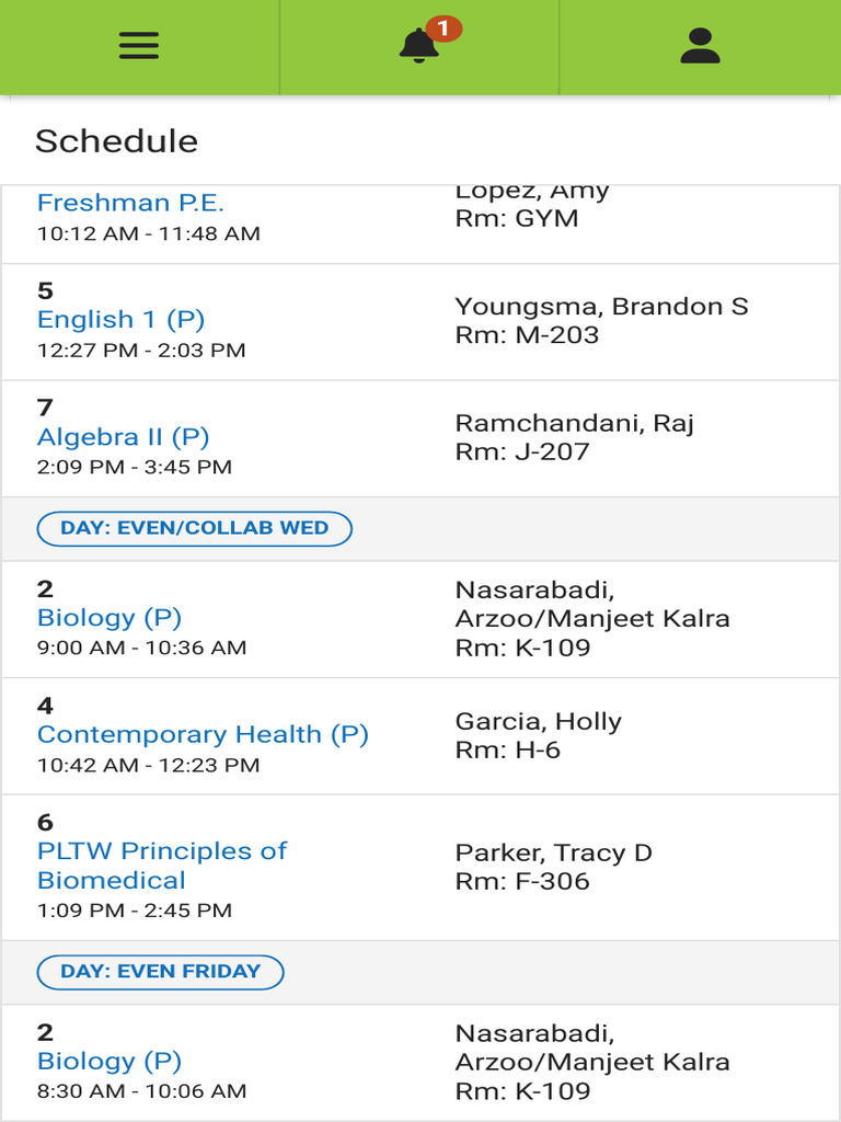 Schedule Infinite Campus | PDF
