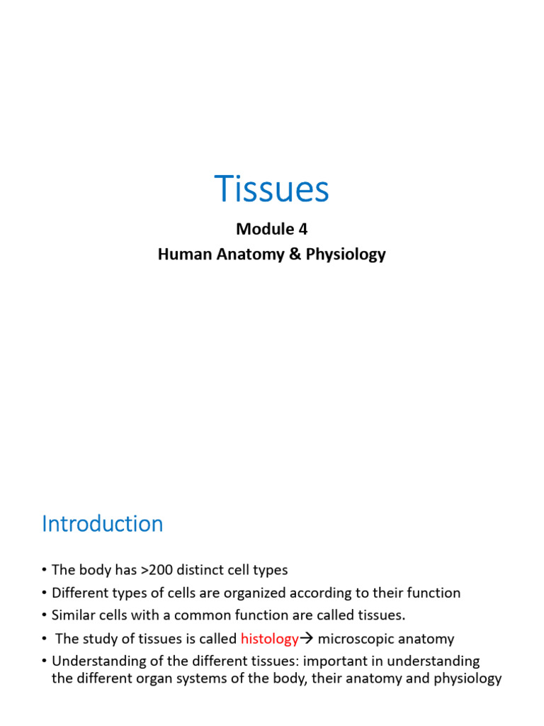Module 4 Tissues | PDF