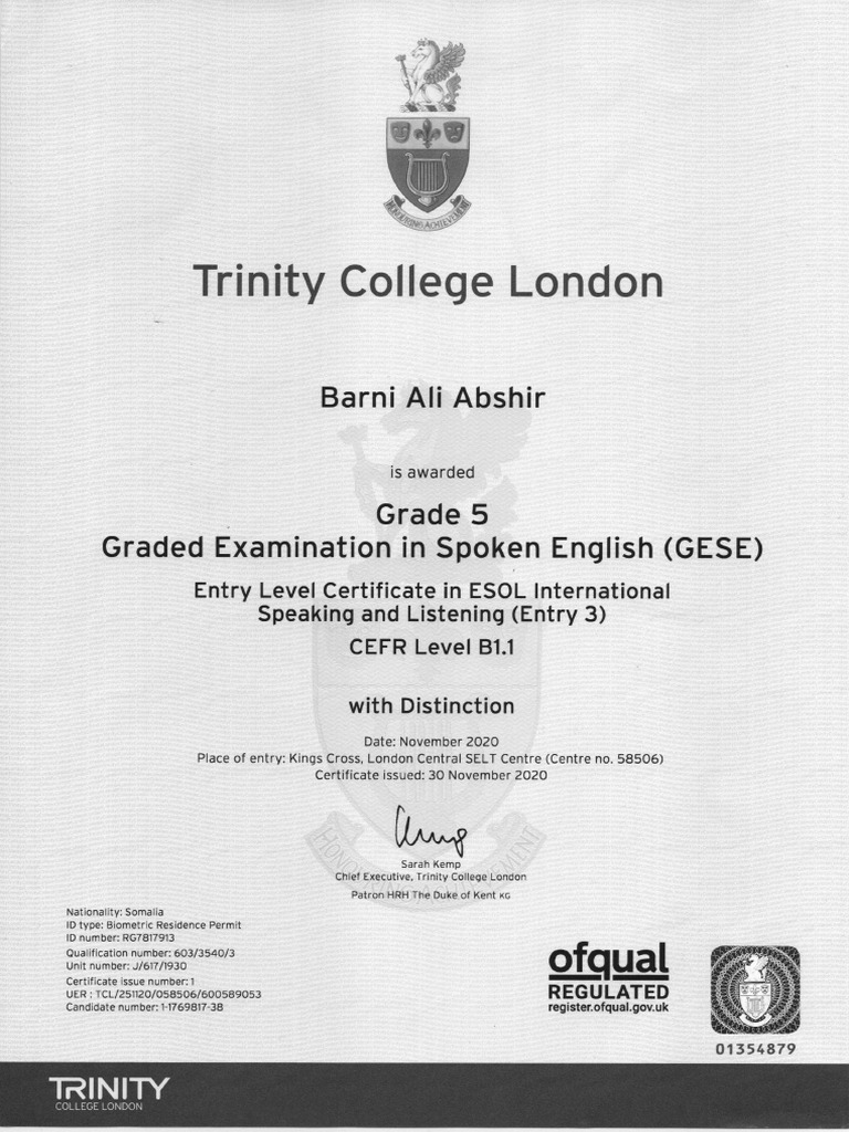 B1 Certificate | PDF