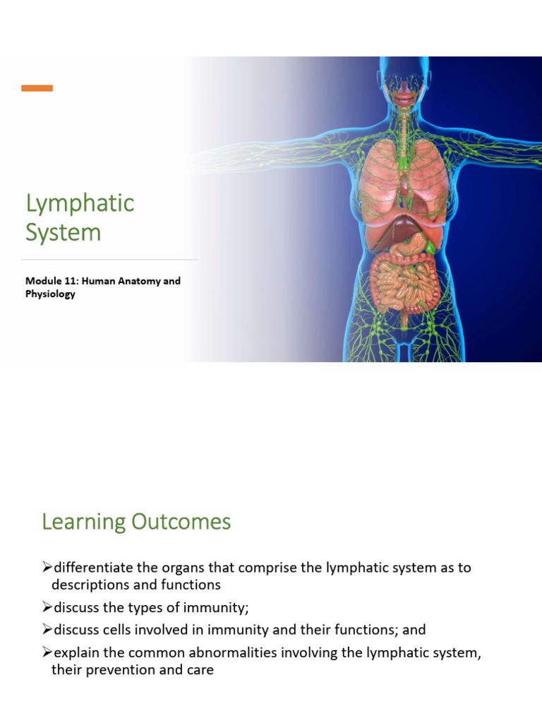 Lymphatic System & Immunity Guide | PDF | Lymphatic System | Immune System