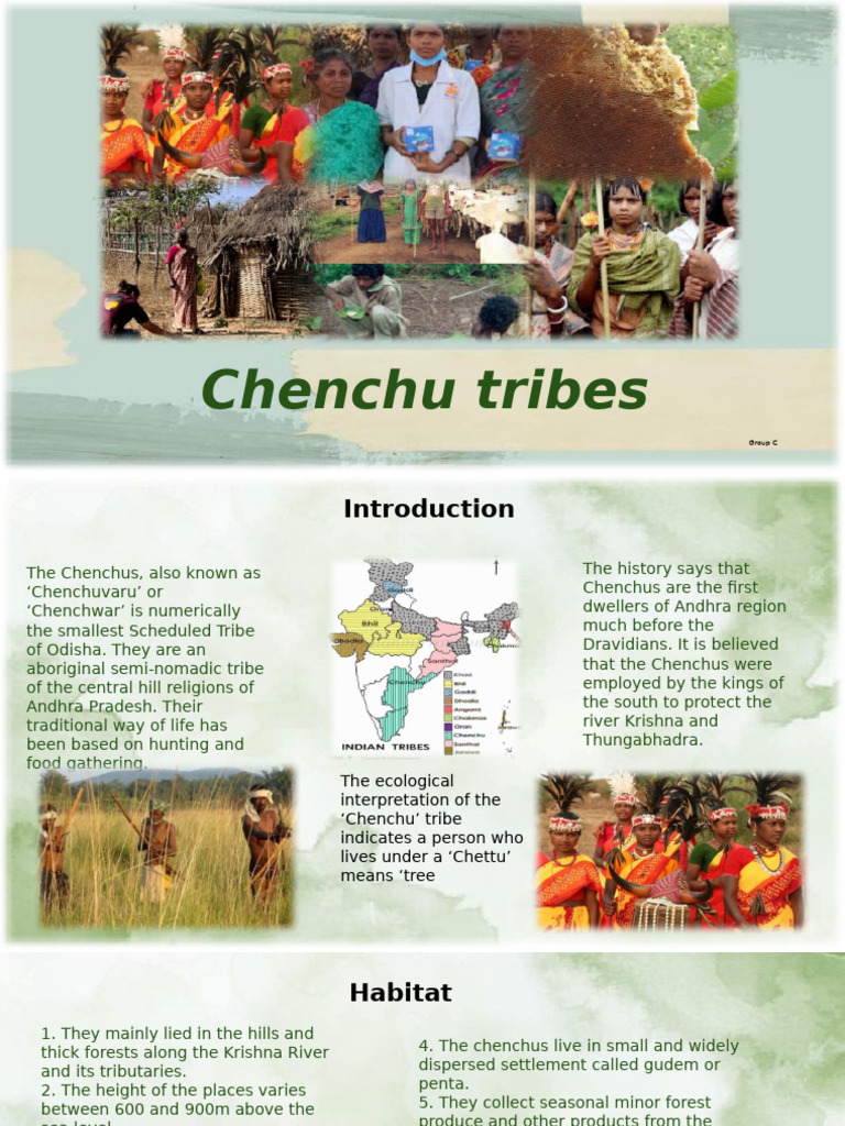 GRP-C J Chenchu Tribes | PDF