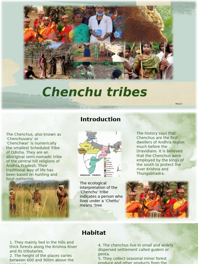Chenchu Tribes: Group C | PDF