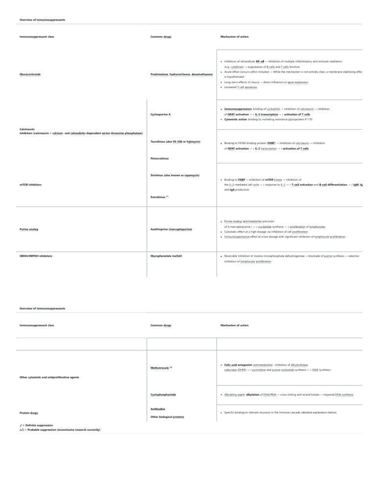 Immune System - Block 1 - AMBOSS | PDF