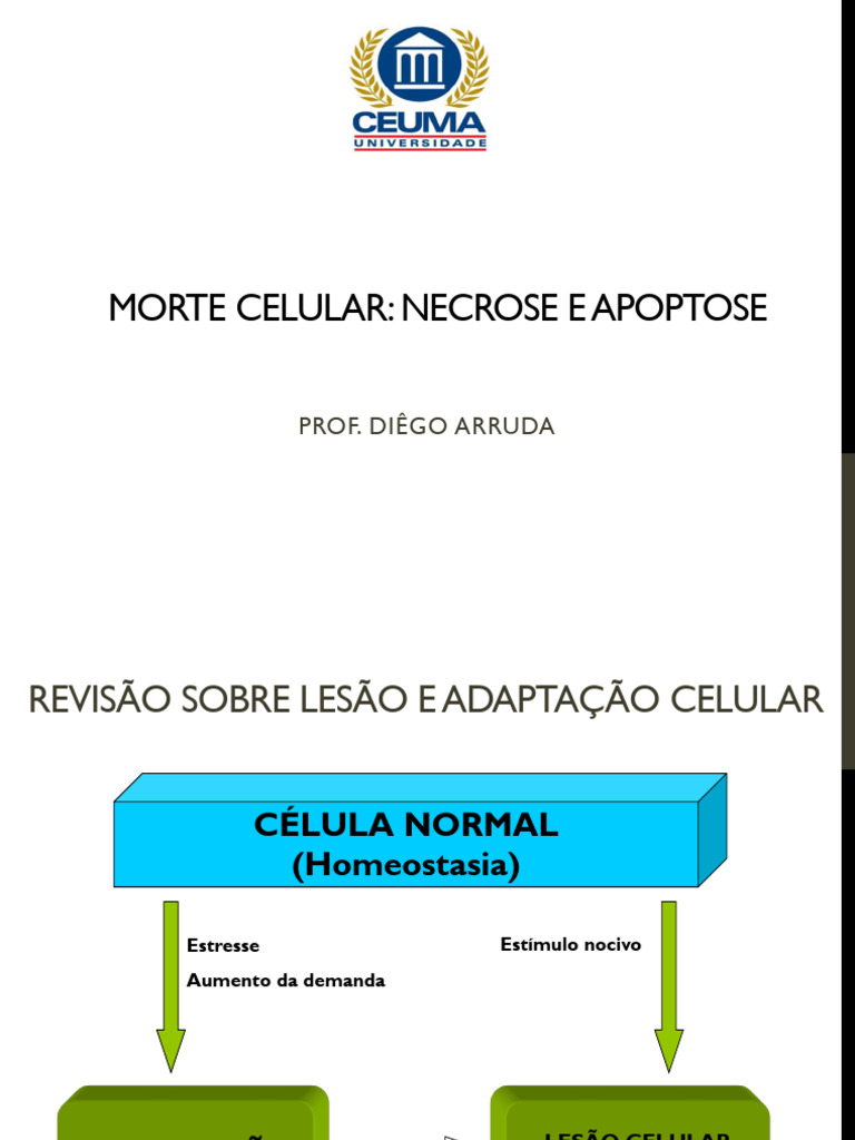 Morte Celular Necrose e Apoptose | PDF