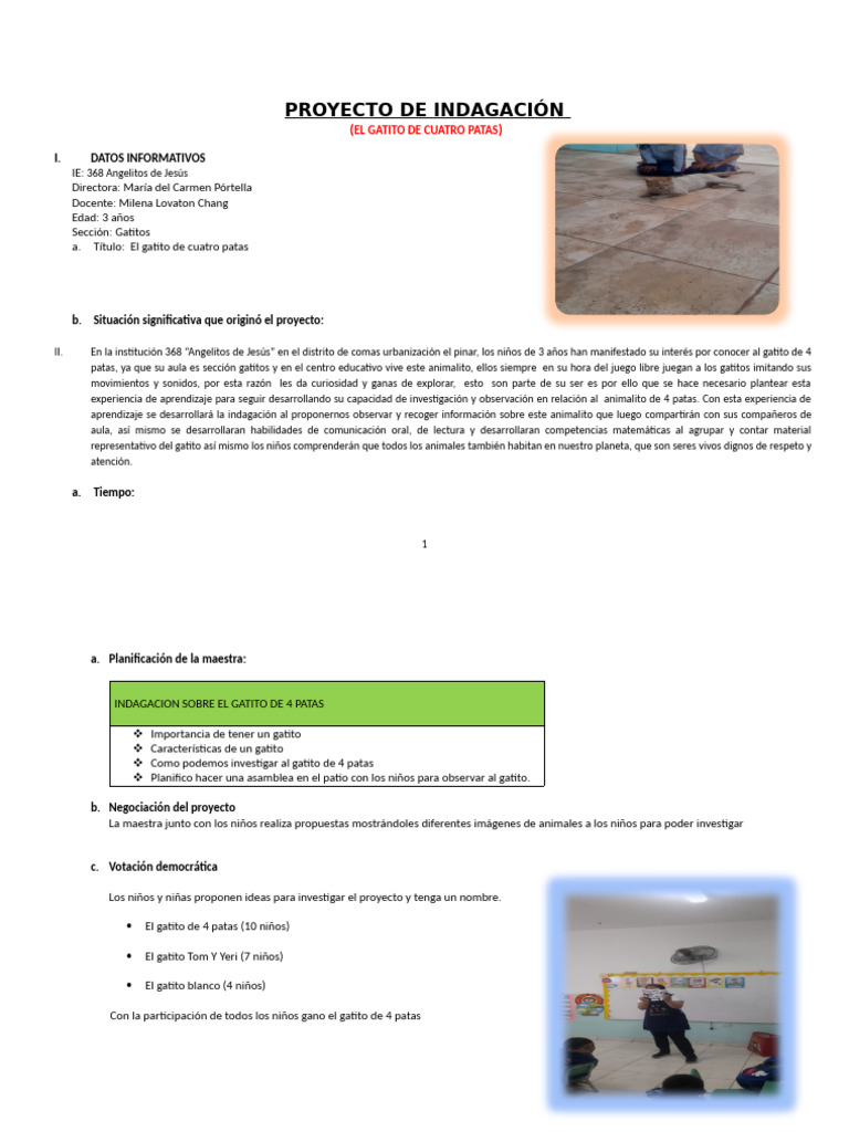 Proyecto El Gatito | PDF