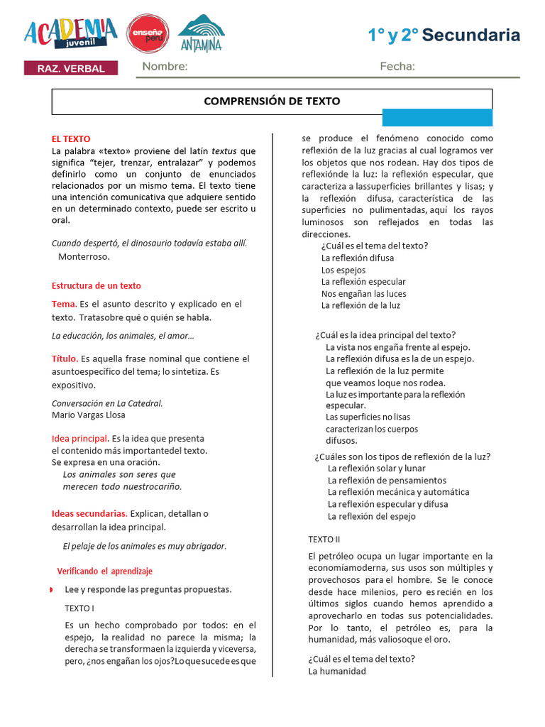 RV - Comprensión de Texto - Ref (Tei) | PDF | Reflexión (Física ...