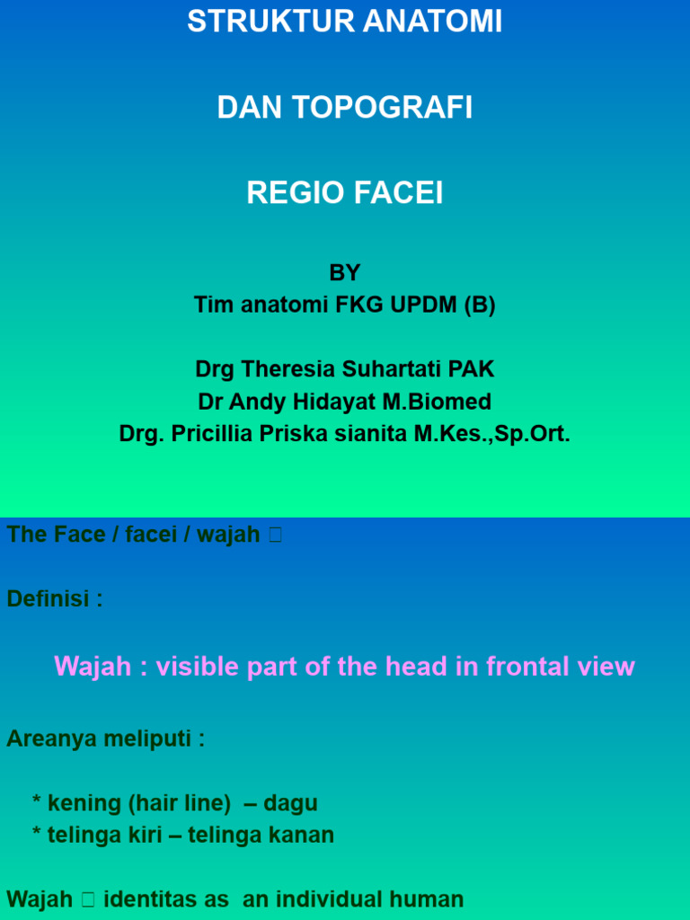 Topik 2-Anatomi Regio Facei | PDF