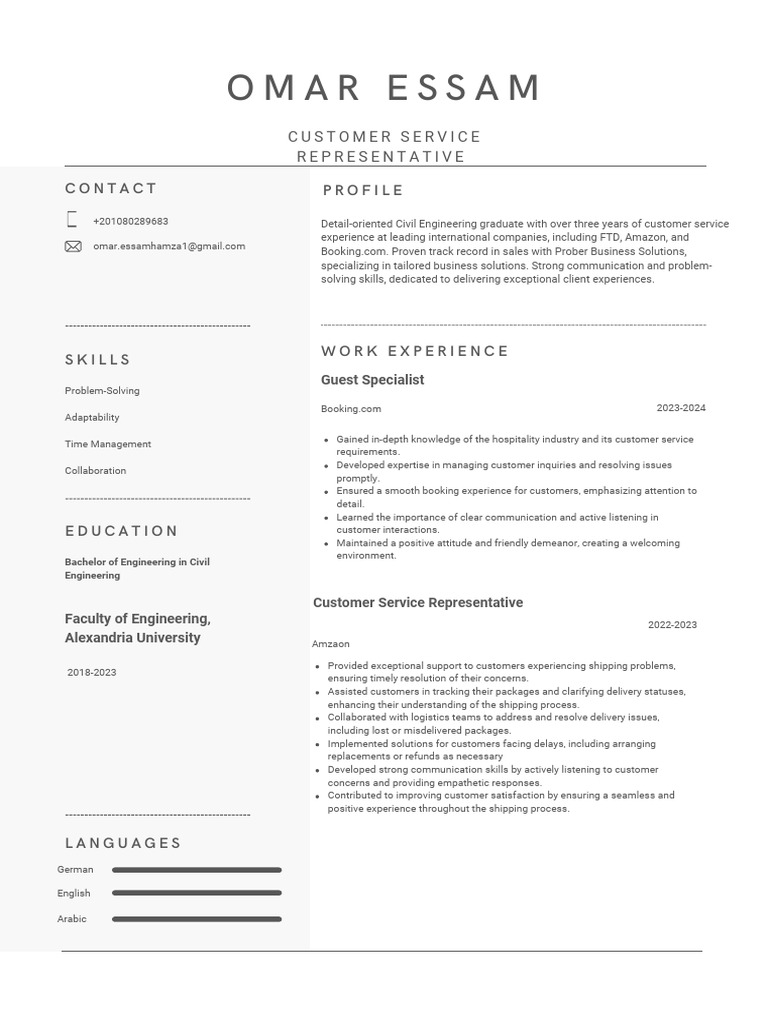 Omar Essam C.V | PDF