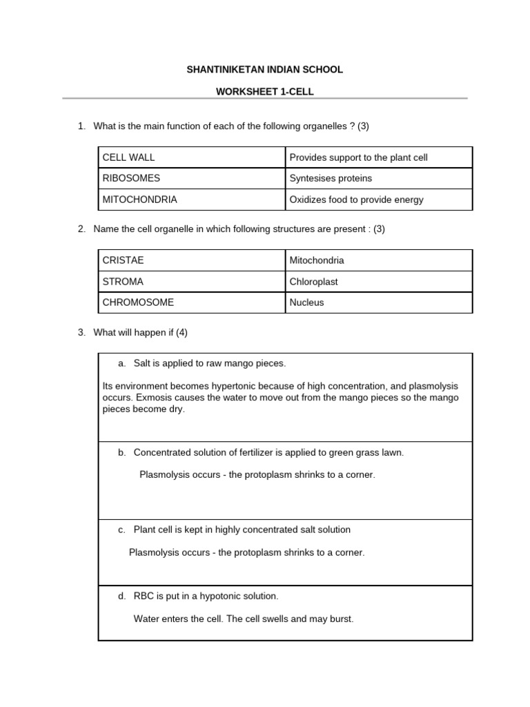 9a - Shaza Haifa-P9505 - Worksheet 1 - Cell | PDF