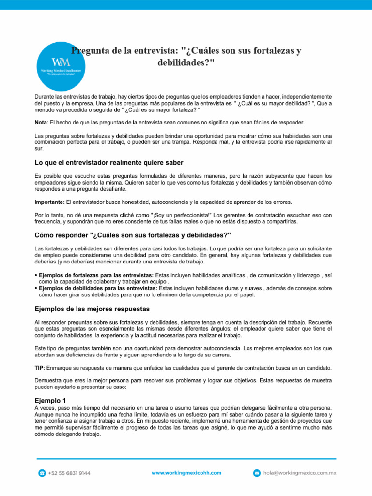 Cuáles Son Sus Fortalezas y Debilidades | PDF