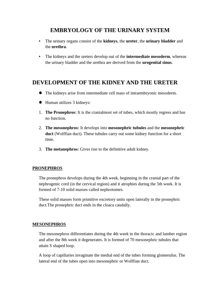 EMBRYOLOGY OF THE URINARY SYSTEM Sadler | PDF