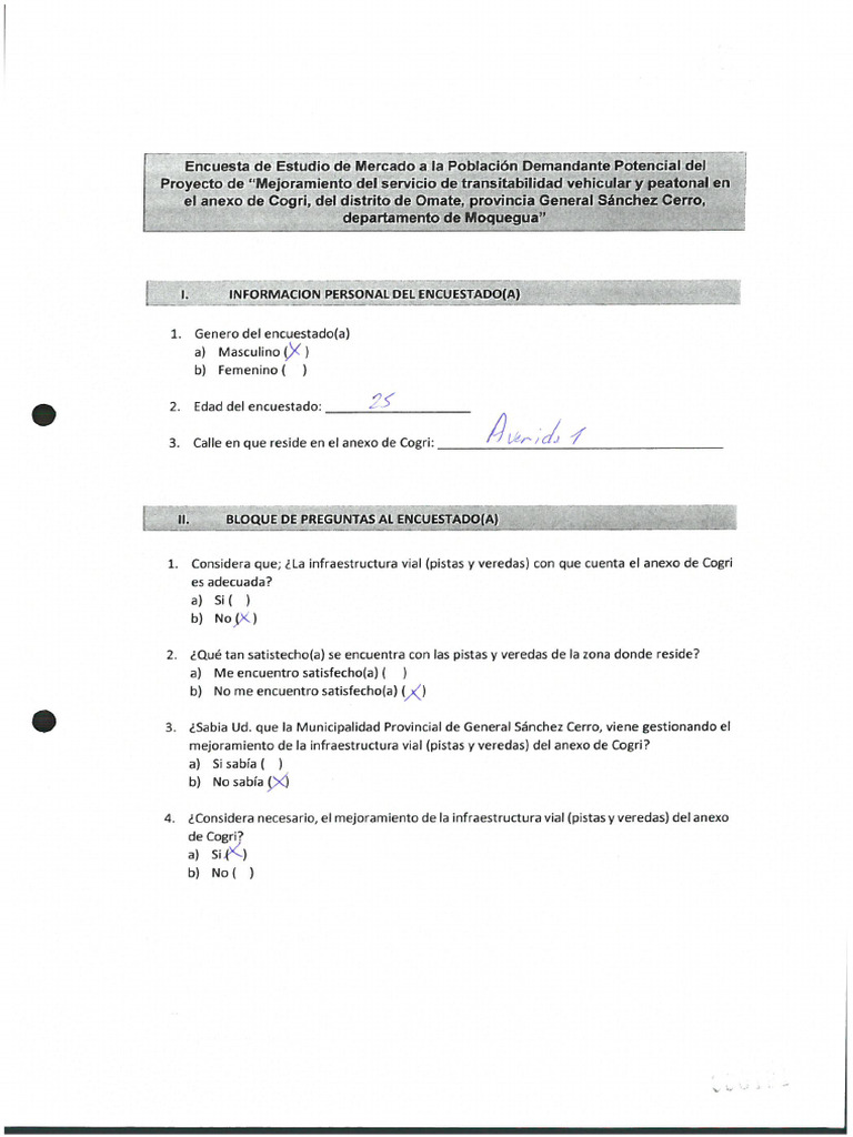 Encuestas Cogri | PDF