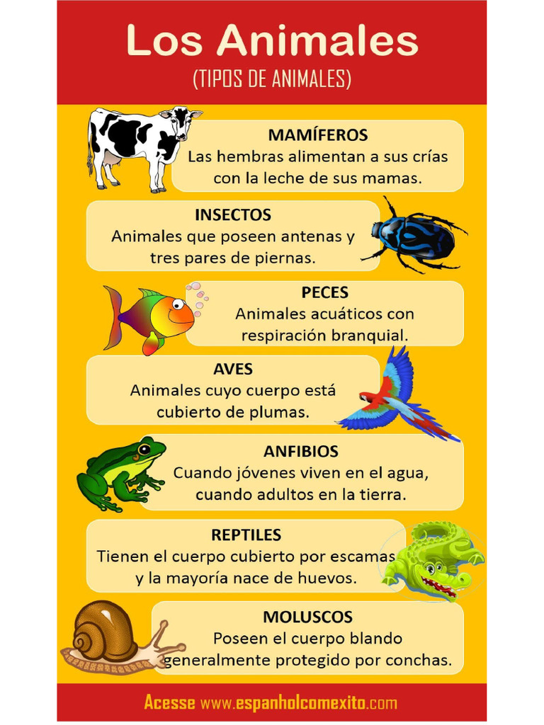 Activ Animales | PDF