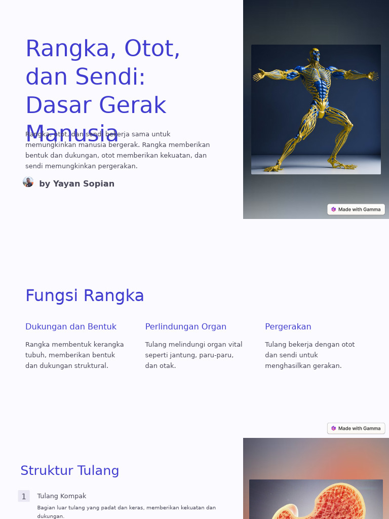 Rangka Otot Dan Sendi Dasar Gerak Manusia | PDF