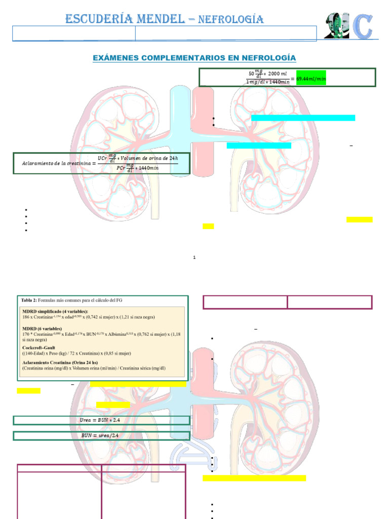 N2 - Examenes Complementarios | PDF
