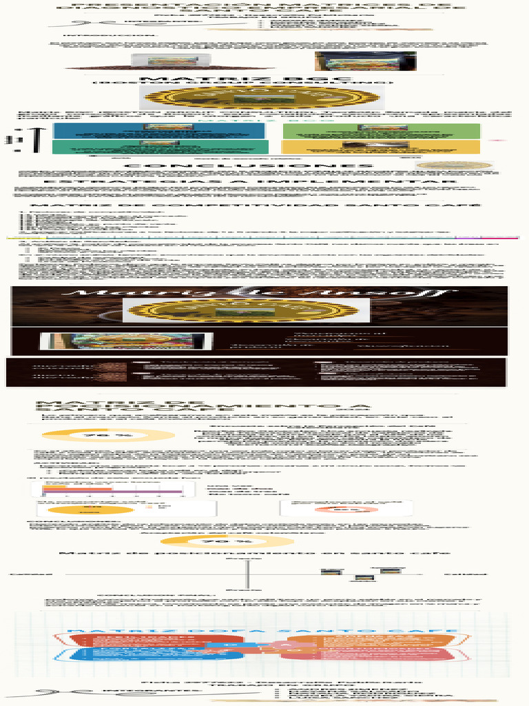 Presentaciã N Matrices De Diagnostico Empresarial De Santo Cafe Final Pdf