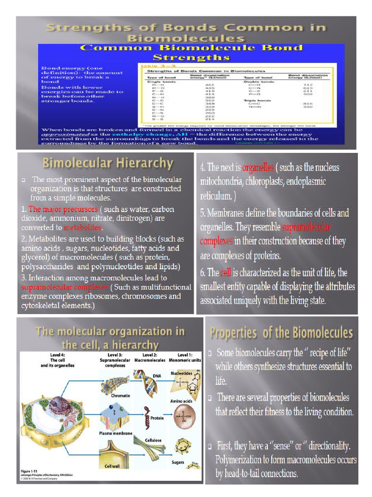Biomolecule and Cell | PDF