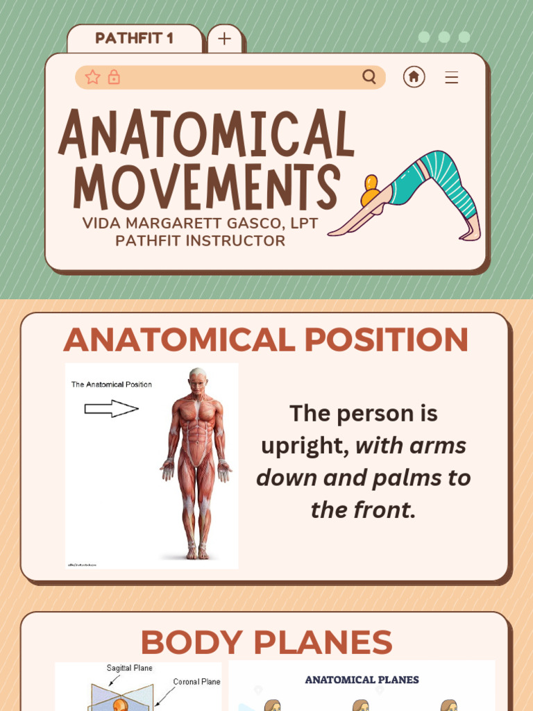 Anatomical Movements and Positions | PDF | Anatomical Terms Of Motion ...