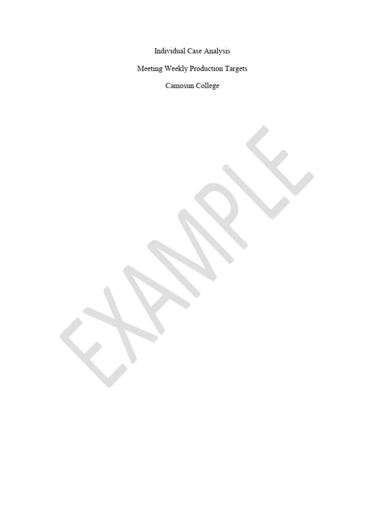 Student Example Meeting Weekly Production Targets | PDF | Business ...