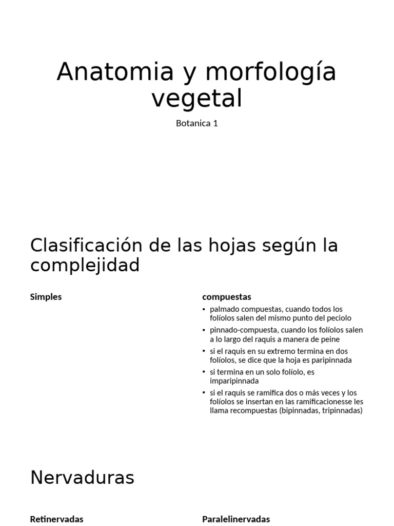 Anatomia y Morfología Vegetal | PDF