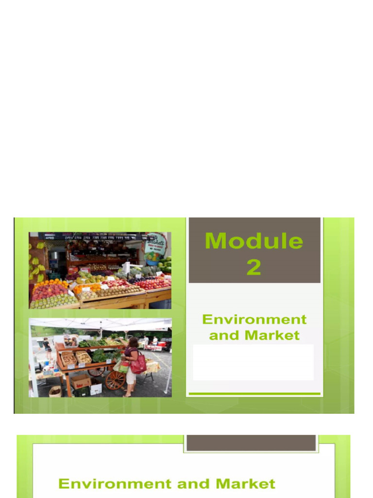 EIM 10 Environment and Market | PDF