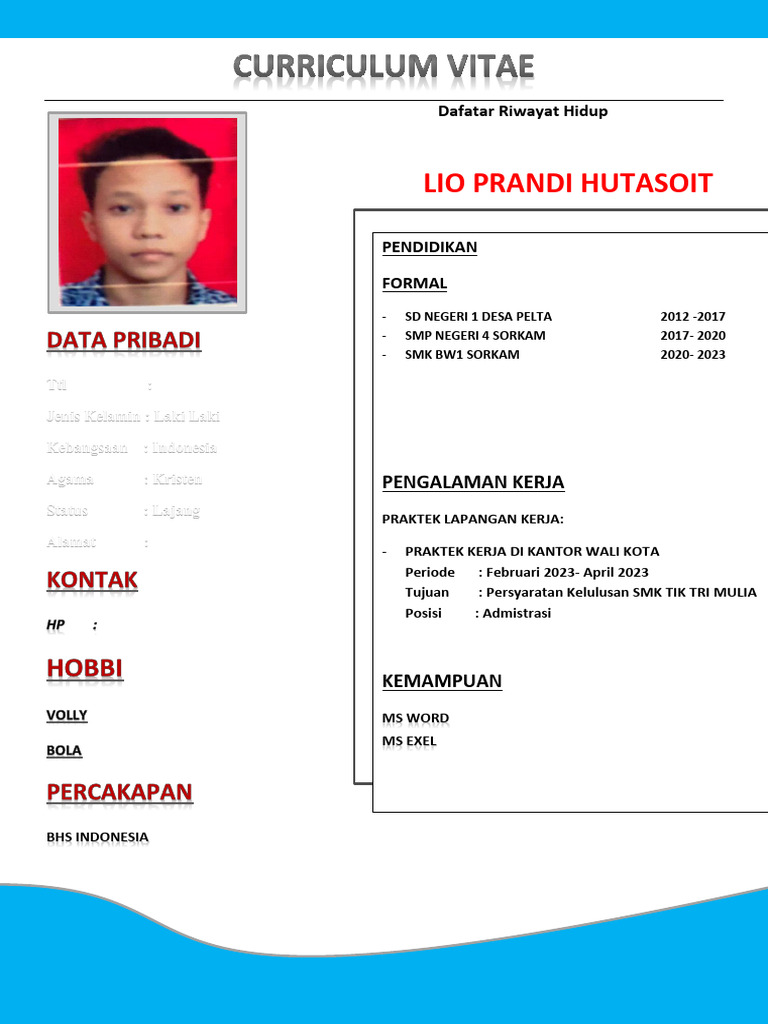 Curriculum vitae Lio Prandi | PDF