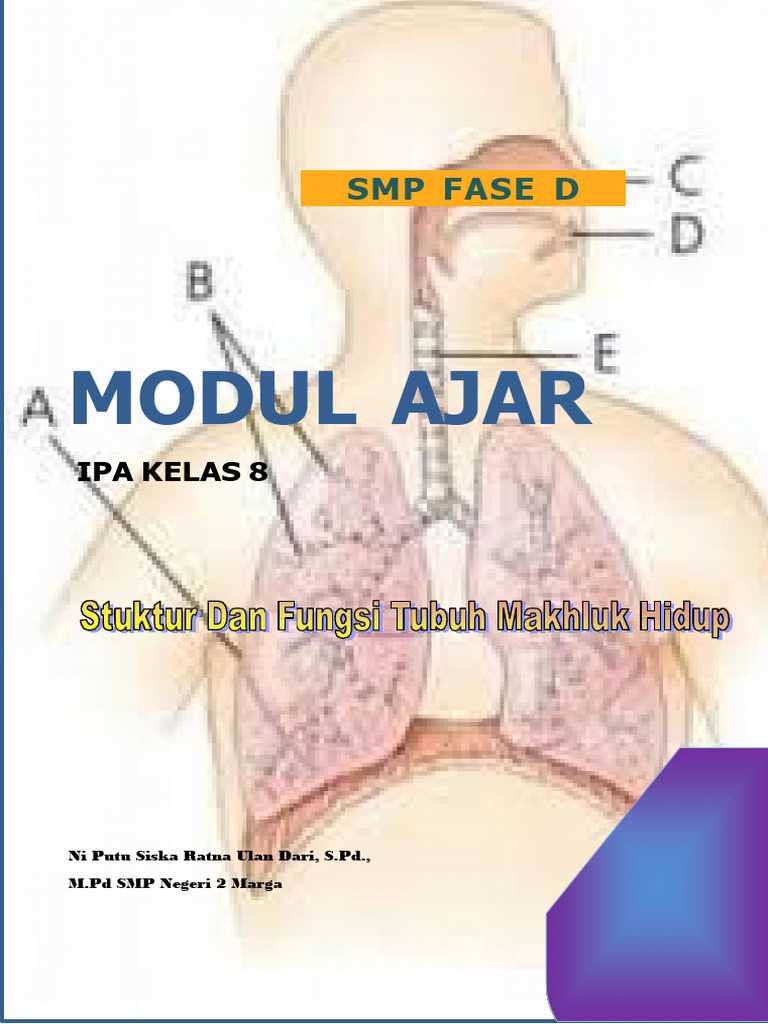Modul Ajar Ilmu Pengetahuan Alam (IPA) - Modul Ajar IPA Sistem Pernafasan (Struktur&Fungsi Tubuh ...