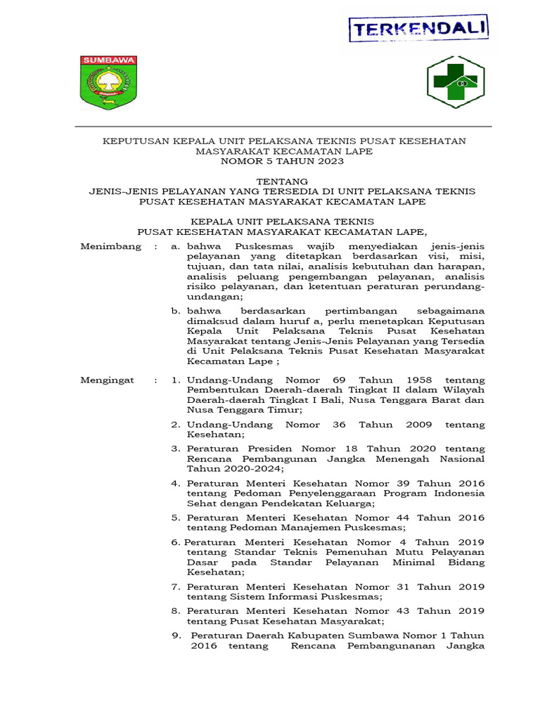 SK Jenis Jenis Pelayanan Puskesmas Lape | PDF