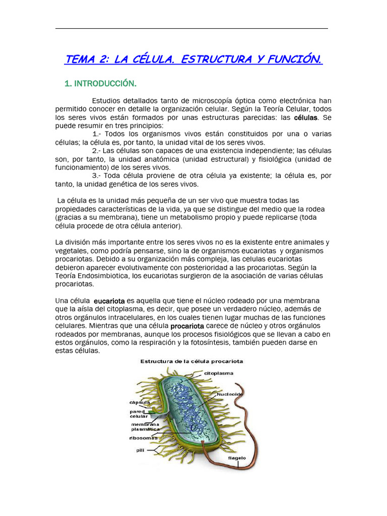 Inma 2 La Celula | PDF