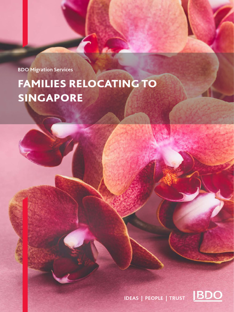 BDO Migration Brochure - English | PDF