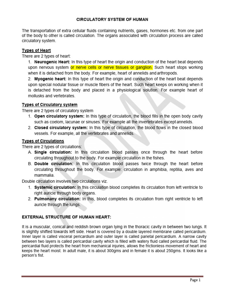Circulatory System | PDF
