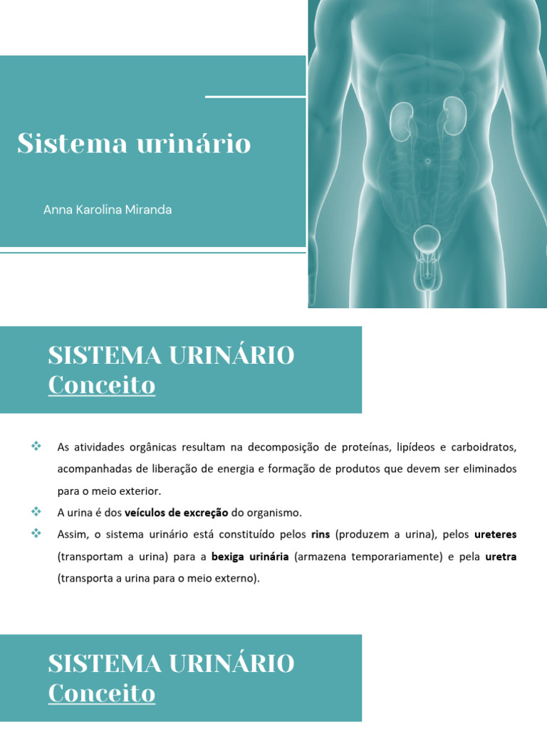 Sistema Urin Rio | PDF