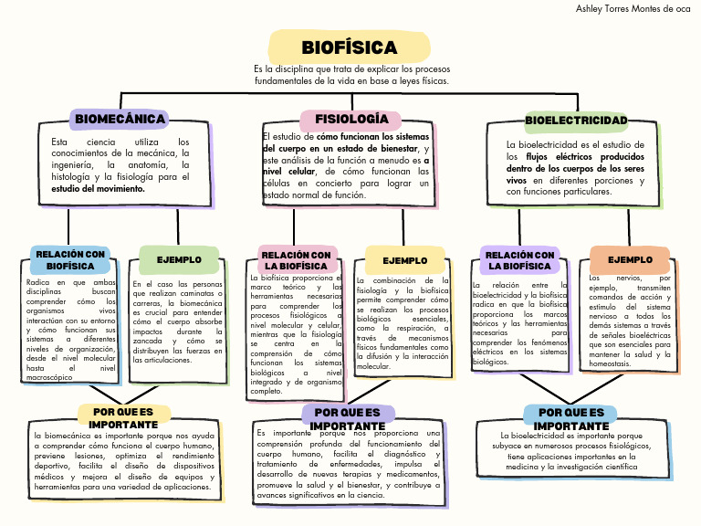 Mapa Conceptual Biofisica | PDF