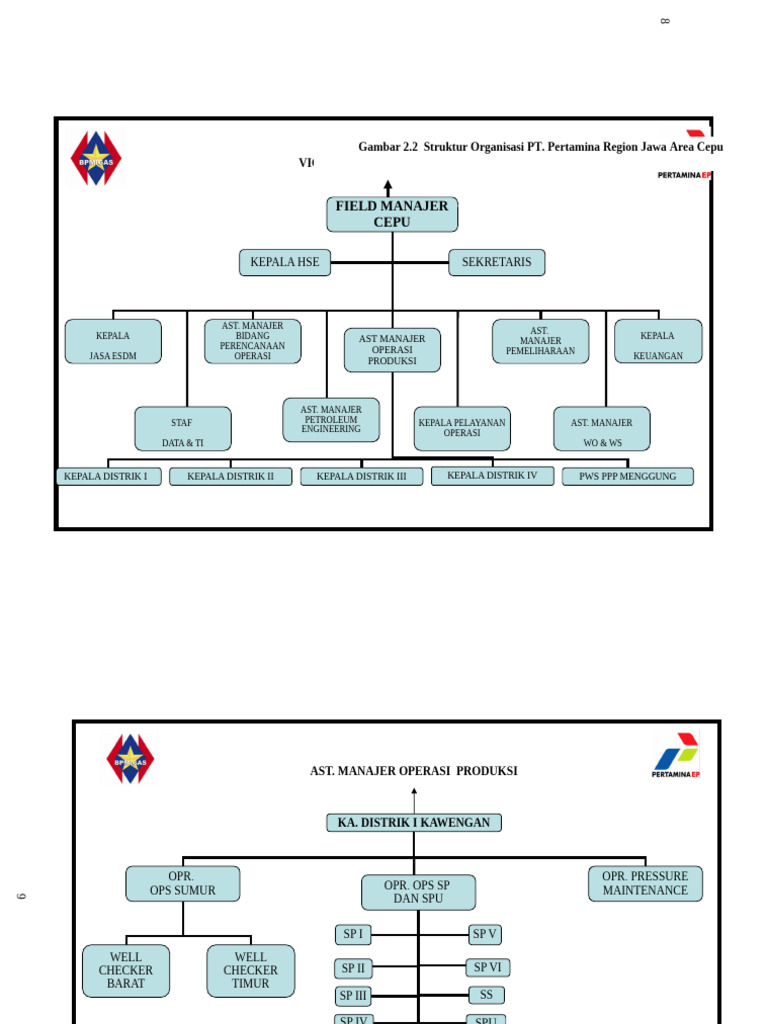 Struktur Organisasi Pertamina Ep | PDF