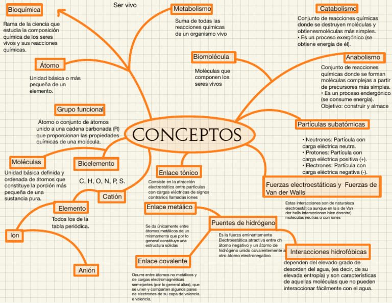 Conceptos Básicos | PDF