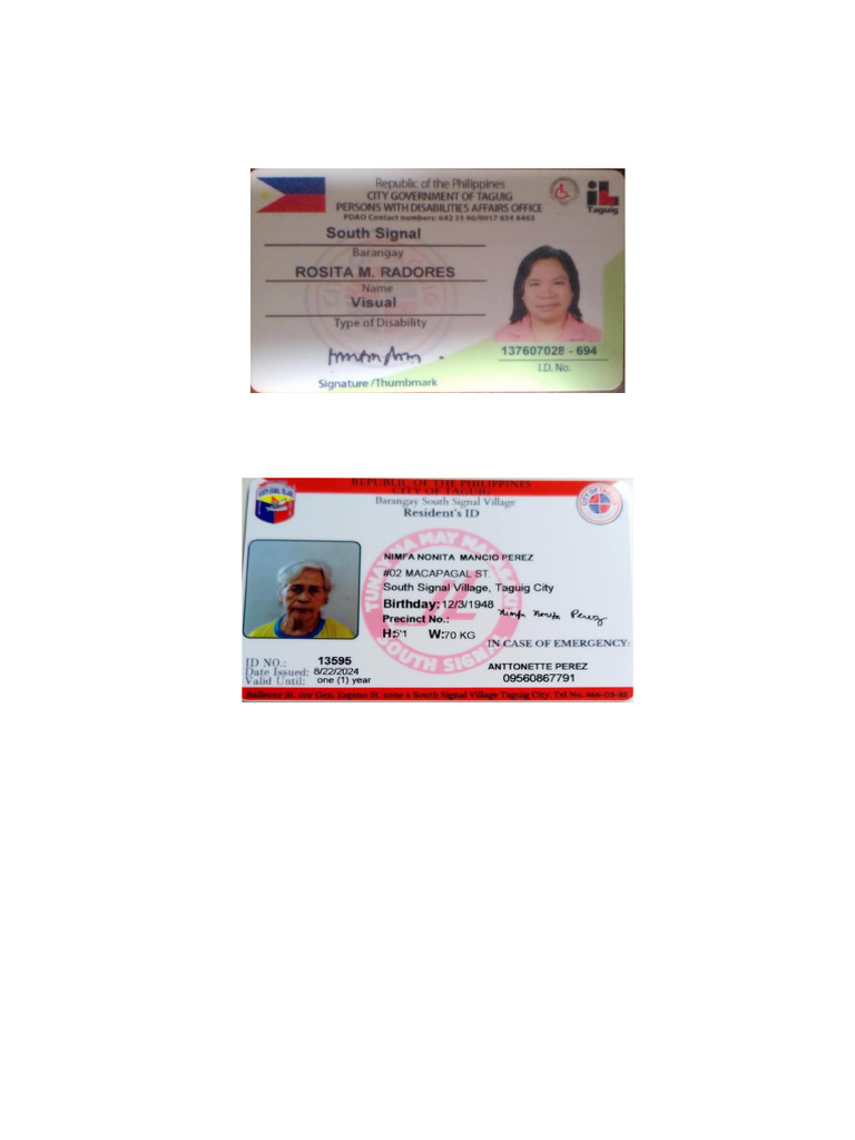Id Card | PDF