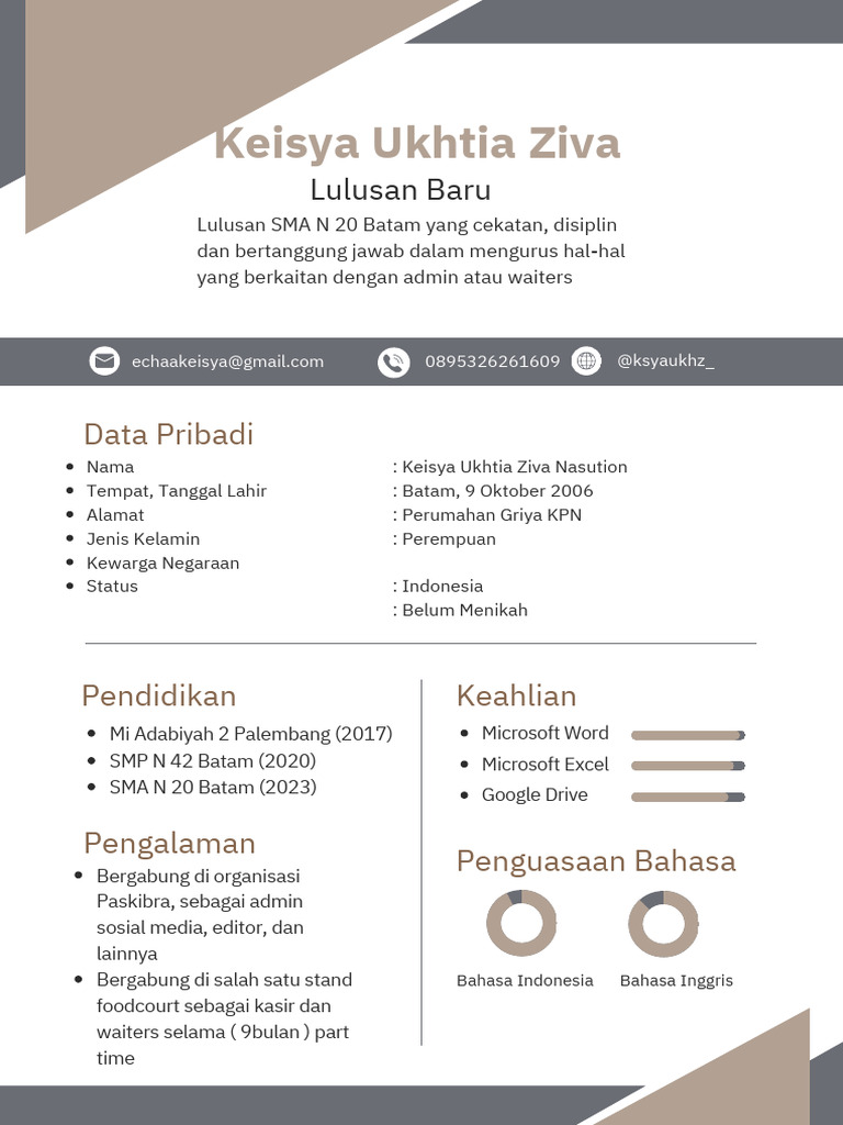 CV 2 | PDF