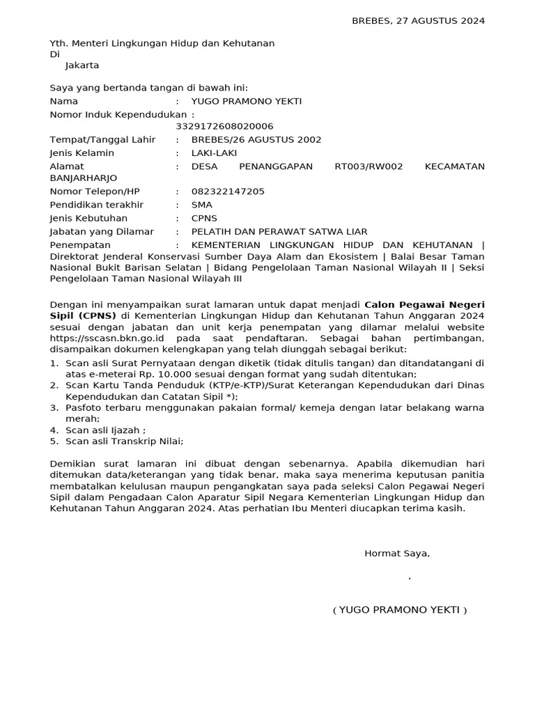 Form Surat Lamaran CPNS 2024 | PDF