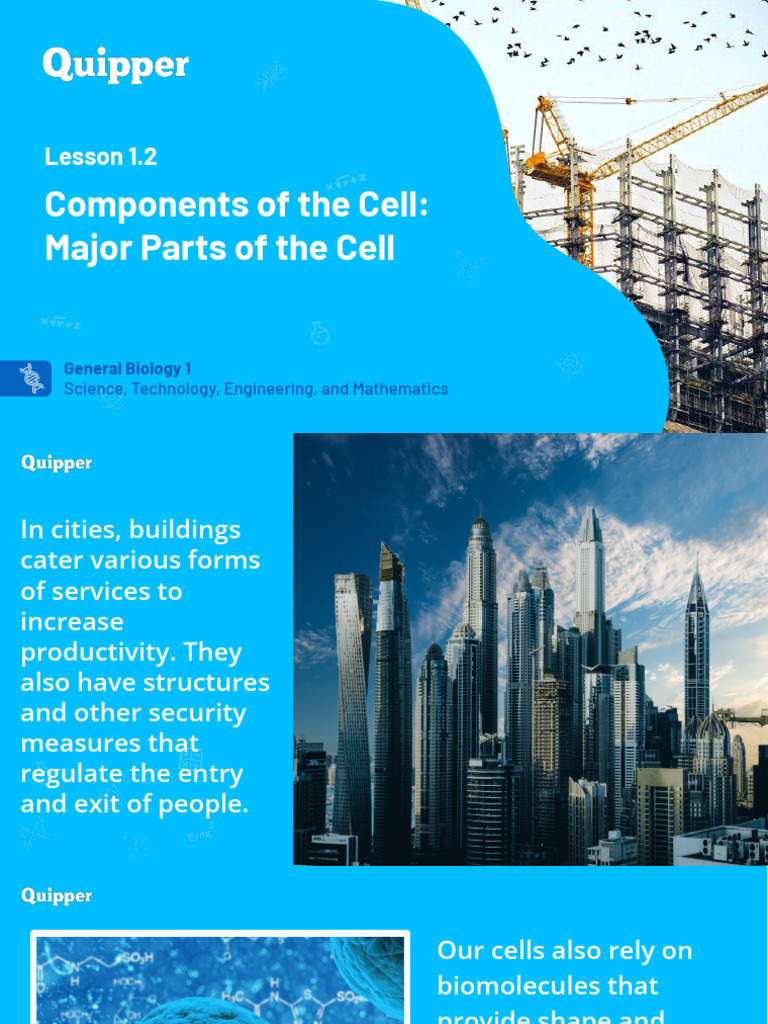 BIO1 11 - 12 Q1 0102 PF FD | PDF