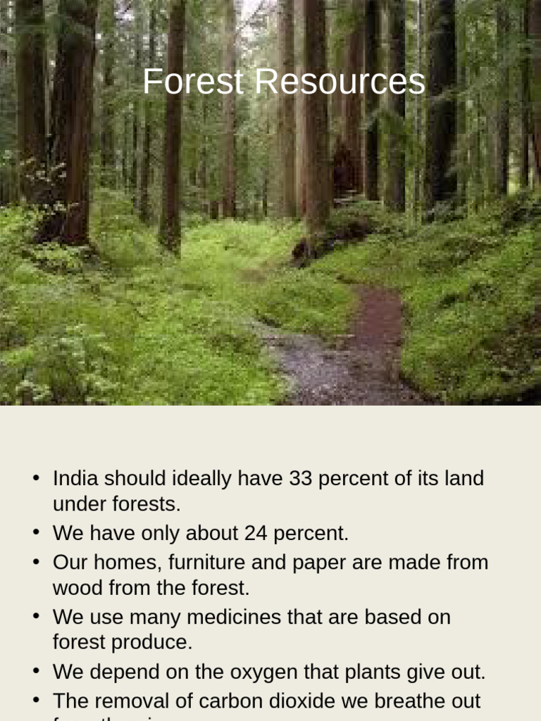Forest Resources | PDF
