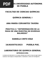 Prueba de Excentricidad en Balanzas | PDF | Química | Ciencias fisicas