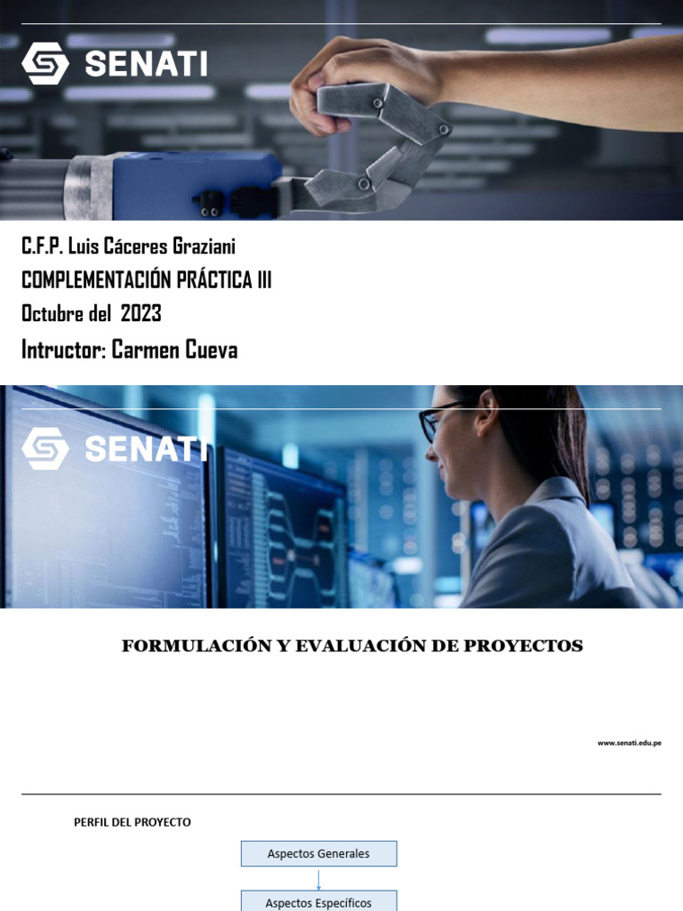 Formulación y Evaluación de Proyectos Parte Ii | PDF