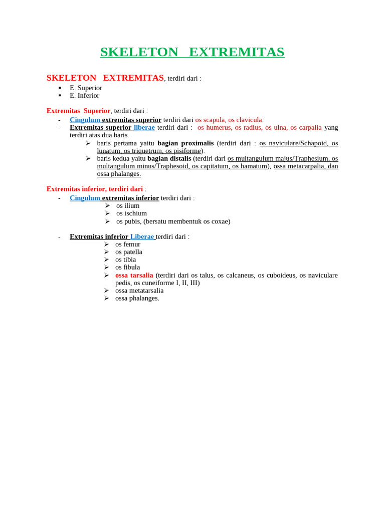 Skeleton Extremitas | PDF