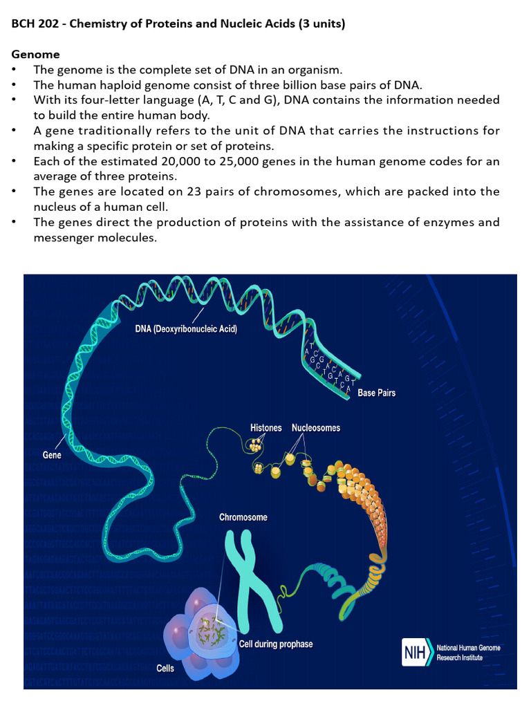BCH202 Lecture Notes | PDF BCH202 Lecture Notes | PDF