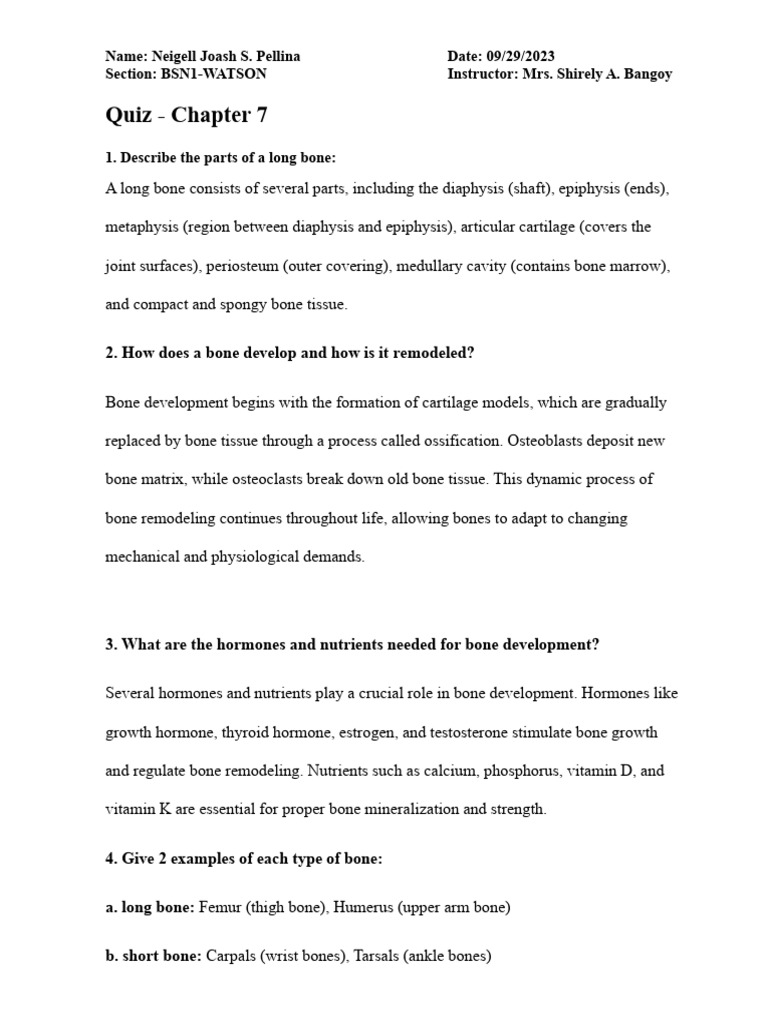 Anaphy Quiz 7 | PDF