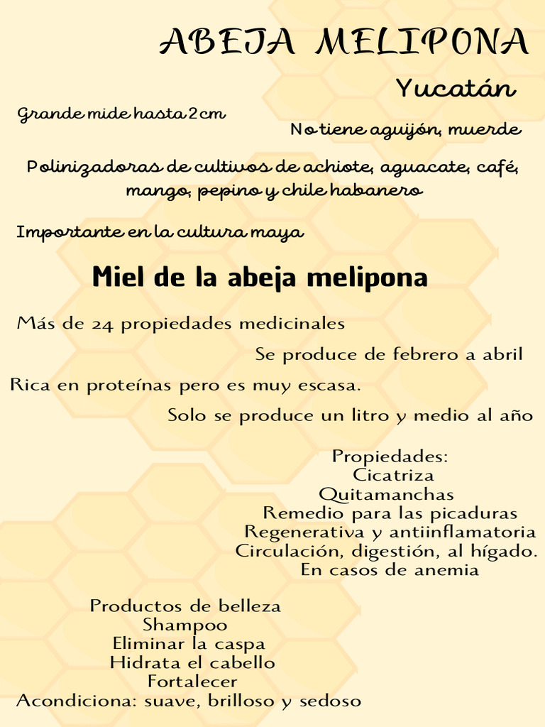 Abeja Melipona | PDF